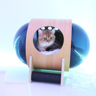 China Wooden Cat Dog Space Capsule Bed 60x40cm with Clear Acrylic Dome for sale