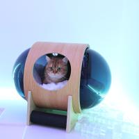 China Wooden Cat Dog Space Capsule Bed 60x40cm with Clear Acrylic Dome for sale