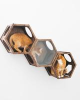 China Hexagon Cat Wall Shelf 50lb Bearing Cat Cave Bed Climbing Frame Pet Furniture for sale