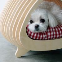 China Wood Fishbone Round Cat House Cute Puppy Bed for Balcony Living Room 60cm for sale