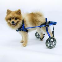 China Adjustable Dog Wheelchair for Hind Legs 8 Sizes Lightweight Aluminum Frame Mute PU Wheels Pet Mobility Aid for sale