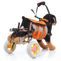 China Adjustable Pet Dog Wheelchair for Back Legs Folding Lightweight 8-20 lbs Aluminum Alloy for sale