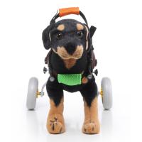 China Pet Dog Wheelchair for Back Legs Folding Lightweight Aluminum Alloy 1.16kg Support 4-9kg for sale