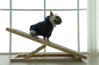 China Zoopollo 100 lb Foldable Wooden Dog Ramp Non Slip Carpet Pet Stairs for Bed Sofa for sale