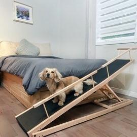China Zoopollo 4 Height Adjustable Foldable Dog Ramp for Car Bed 60 cm Max Height for sale