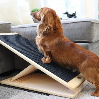 China Collapsible Height Adjustable Dog Ramp 100Lbs Capacity with 3 Layer Carpet Non-Slip Mat for sale