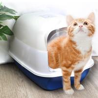 China PP Small Covered Kitty Litter Box Tray 51*41*38cm Green Pink for sale
