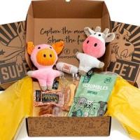 China Personalised Christmas Dog Treat Box Subscription Chews Toys Large Gift for sale