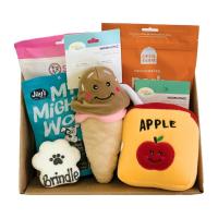 China Personalized Dog Toy Gift Box with Yummy Treats Festive Holiday Themed 2 Toys 3 Treats for sale