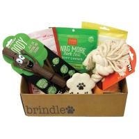 China Personalized Dog Toy Gift Box with Yummy Treats Festive Holiday Themed 2 Toys 3 Treats for sale