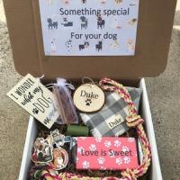 China Personalized Dog Birthday Treat Box 15 20 25 Inch Bandana Gift Set for Corgi Pitbull for sale