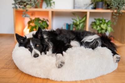 China Handmade Cotton Donut Anti Anxiety Dog Bed Orthopedic Pet Bed Large 27.6in for sale