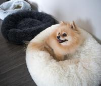China Fluffy Donut Anti Anxiety Dog Bed 50cm 60cm 70cm Diameter Calming Pet Mattress Oxford Cloth Waterproof for sale