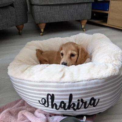 China Cream Striped Calming Dog Bed 47cm Anti Anxiety Nest Pet Mattress OEM ODM for sale
