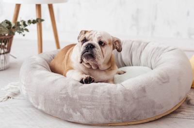 China Calming Donut Dog Bed 80cm 100cm Anxiety Relief Pet Bed with Removable Cover for sale