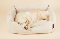 China Orthopedic Dog Bed with Removable Cover and High Sides for Small to Large Dogs 60x50 cm to 110x90 cm for sale