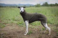 China OEM Windproof Waterproof Fleece Dog Coat Suit Machine Washable for sale