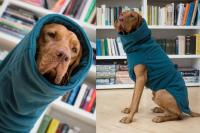 China OEM Windproof Waterproof Fleece Dog Coat Suit Machine Washable for sale
