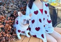 China Comfy Terry Sweater Dog Matching Pet Owner Set Red Heart Pattern for sale