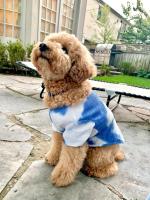 China Blue White Tie Dye Matching Pet Owner Sweater Set Breathable Waffle Knit S-2XL for sale