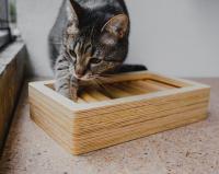 China Interactive Cat Food Puzzle Feeder Brain Game Toy for Kitten Hunting Play for sale