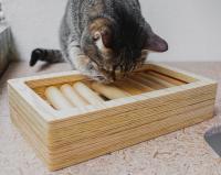 China Interactive Cat Food Puzzle Feeder Brain Game Toy for Kitten Hunting Play for sale