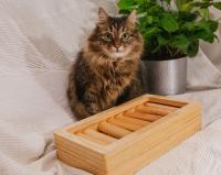 China Interactive Cat Food Puzzle Feeder Brain Game Toy for Kitten Hunting Play for sale