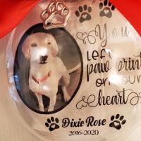 China PVC Plastic Keepsake Pet Memorial Ornament Shatterproof 3.9 Inch for sale