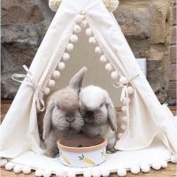 China Natural Cotton Rabbit Bunny House Teepee with Pom Pom Pad for Small Pets for sale