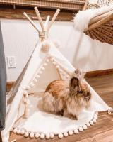 China Natural Cotton Rabbit Bunny House Teepee with Pom Pom Pad for Small Pets for sale