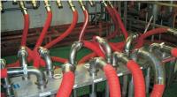 China High Pressure 40m Length 63mm Rubber Steam Hose , Flexible Steam Hose for sale