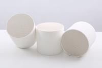 China 50.9% SiO2 Cordierite DPF , Silicon Carbide Sic DPF For Catalytic Converters for sale