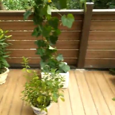 China Co-extrusion Technology 16ft Exterior Grooved Shape PVC Decking for Decking Solutions for sale