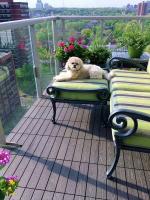 China 300x300mm Square Bathroom Deck Tile Wood Plastic Composite Anti-Slip Waterproof PVC Interlock Decking for sale