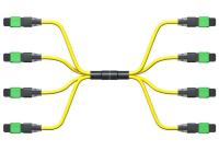 China 4*8F 4*12F 4*24F MPO/APC Patch Cord MTP/APC Single Mode Trunk Cable Type A Type B Type C Polarity for sale