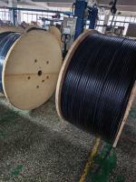 China SMF 9/125 G652D 6-288 Fibers Non-metallic Light Armored Outdoor GYFTA Duct Fiber Optic Cable for sale