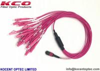 China MPO-24 MTP-24 OM4 Violet 24fo DLC Fiber Optic Patch Cord Fanout LSZH Cover With MPO Adapter for sale