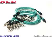 China OM4 50/125 16 Fiber LSZH MPO MTP Patch Cord Elite MPO Fiber Patch Cable for Data Center for sale