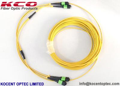 China MPO APC 24fo 48cores G657A1 Elite Insertion Loss  MTP Fibra Optica Trunk Patch Cable for sale