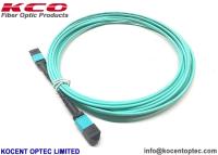 China 12fo 24fo Multimode OM3-300 Elite IL MPO MTP Female Optical Patch Cord for sale