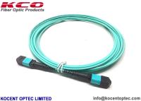 China 12fo 24fo Multimode OM3-300 Elite IL MPO MTP Female Optical Patch Cord for sale