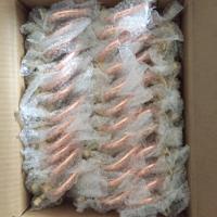 China Solenoid 5/8