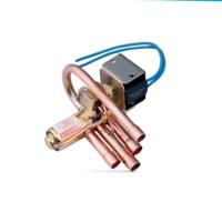 China Multifunctional Reversing HVAC Valve Coil 220V 4 Way 1/2