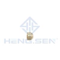 China OEM Forged Brass Pipe Fittings Flare Nut 1/4 Inch Multi Scene for sale