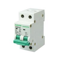 China 16Amp Miniature Circuit Breaker for sale
