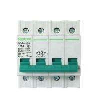 China Isolation Switch SGT8-125 Thermosetting MCB Circuit Breakers for sale