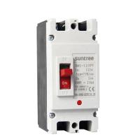 China 2 Pole DC 1000V Molded Case Circuit Breaker for sale