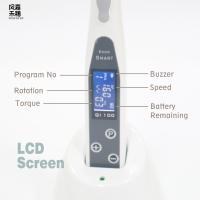 China Cordless Endo Motor with Autoclavable Handpiece - 500g Lightweight Design & 950mAh Battery for Dental Procedures for sale