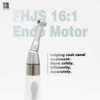 China Cordless Endo Motor with Autoclavable Handpiece - 500g Lightweight Design & 950mAh Battery for Dental Procedures for sale
