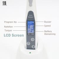 China Endo Motor for Root Canal Treatment with 950mAh Battery and 500g Weight - Cordless Dental Equipment for sale